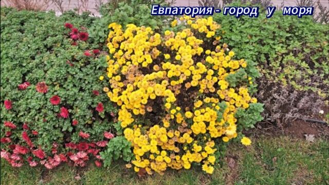 2025 Евпатория - город у моря