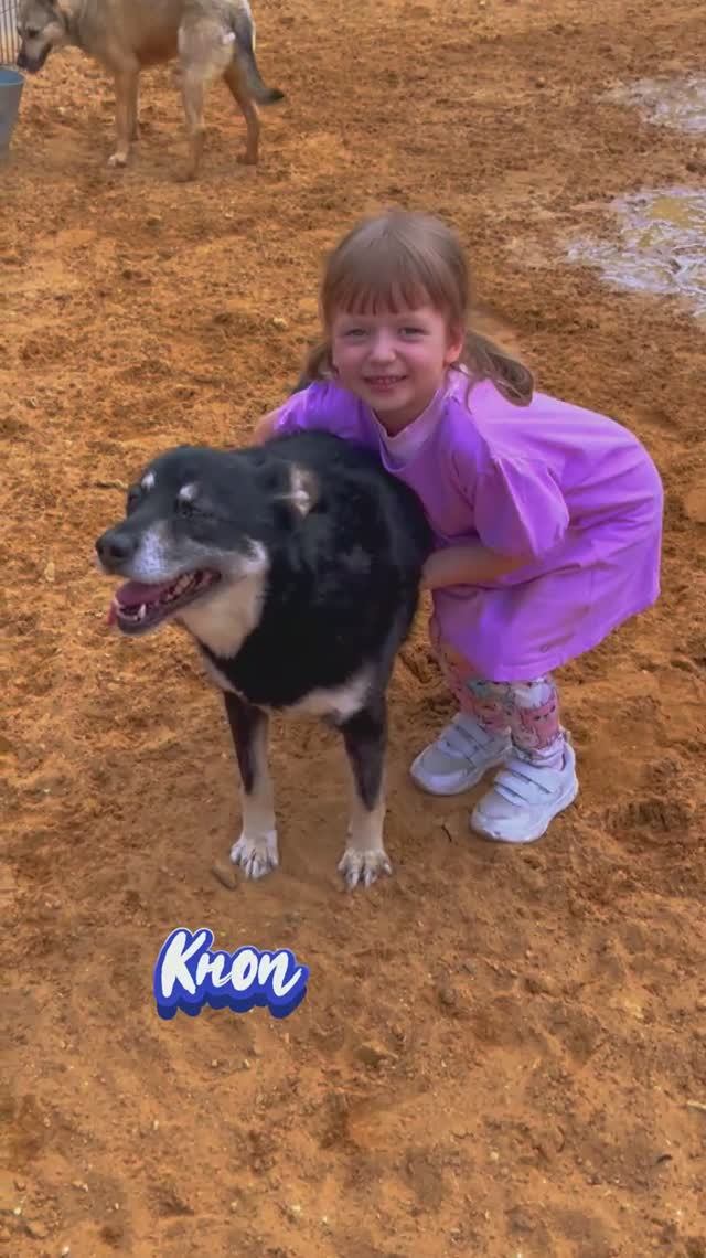 "В гостях у Кнопика" ❥ Приют в Малинках