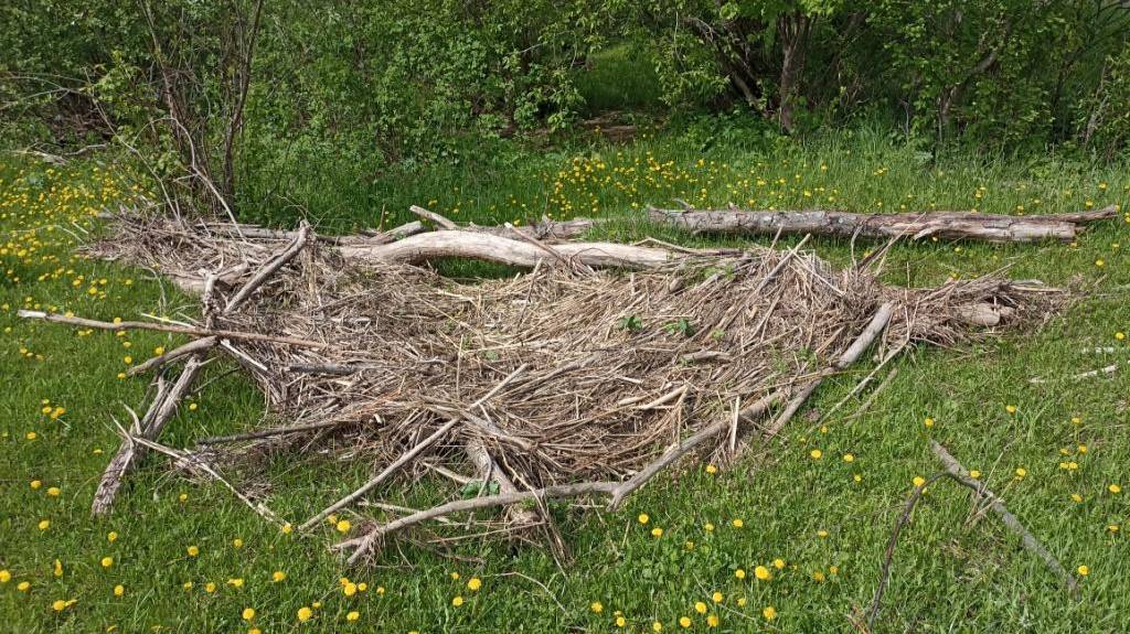 Дрова для костра после половодья