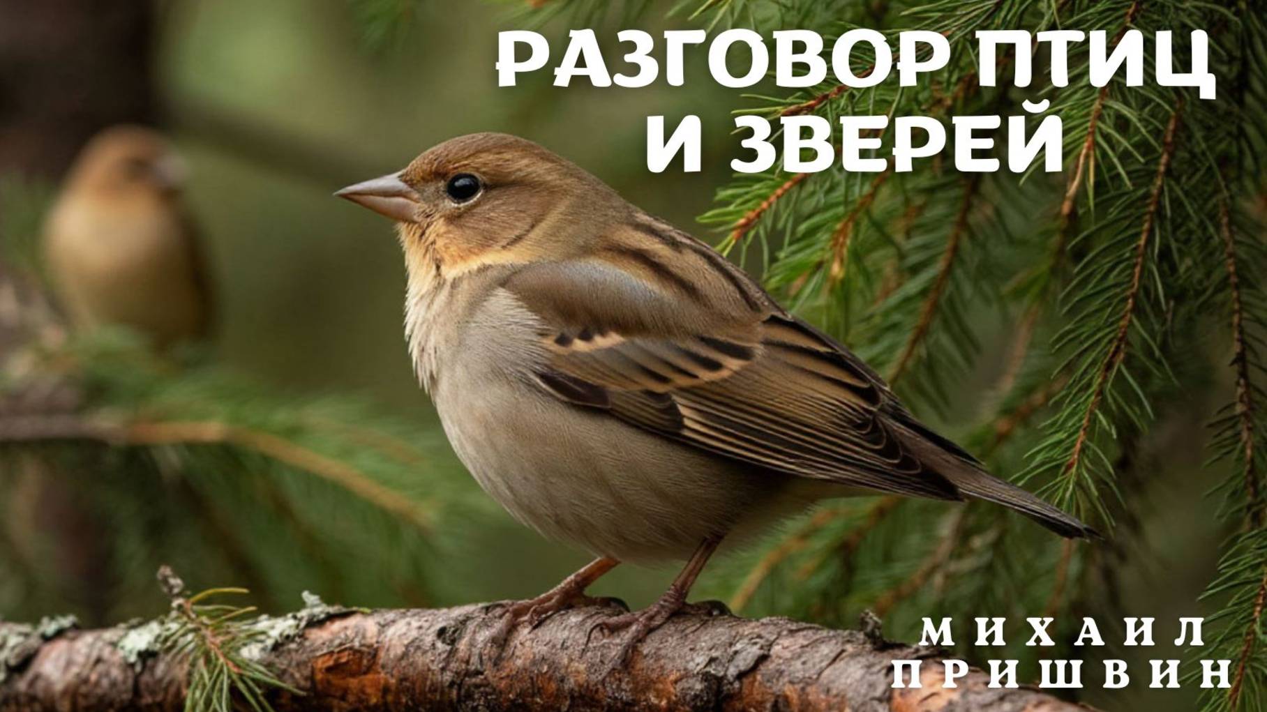 Михаил Пришвин РАЗГОВОР ПТИЦ И ЗВЕРЕЙ. Часть 1. Рассказы о животных.