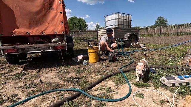 Абисинка 24.5.25.mp4