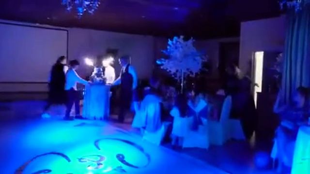 Свадьба с синими бабочками