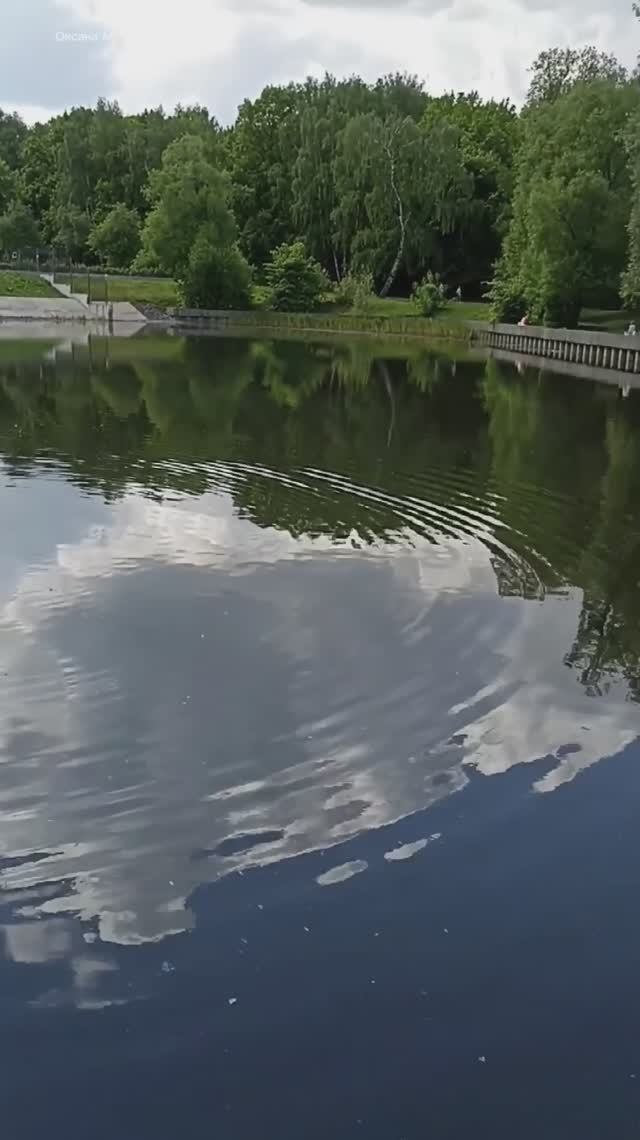 Путешествие в Москву. 5 часть. Уточки в парке Останкино.mp4