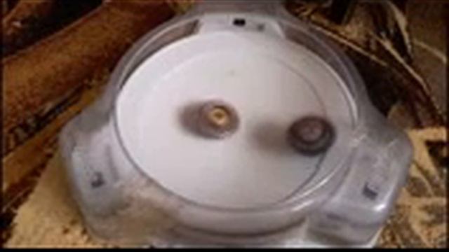 Бей блейд бёрст взрыв 6 сезон 1 серия