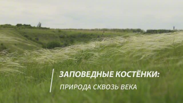 Заповедные Костенки: Природа сквозь века