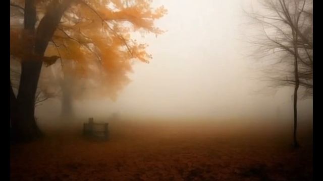 _Уголек_Lx24 Алексей Назаров.кавер версия исп., Роман Заварин.видео Дмитрий Бондарь