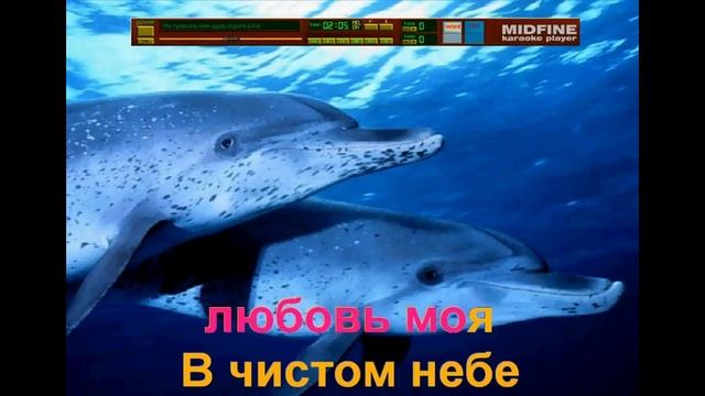 НЕ ТРЕВОЖЬ МНЕ ДУШУ СКРИПКА КАВЕР,скрипачей предоставил Дмитрий Бондарь
