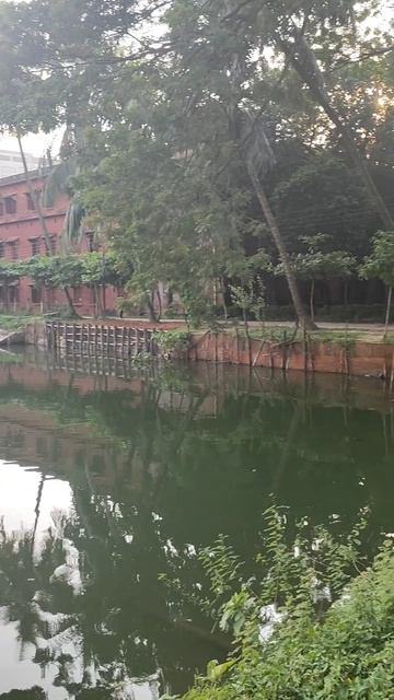 Университетское озеро в Дакке, Бангладеш