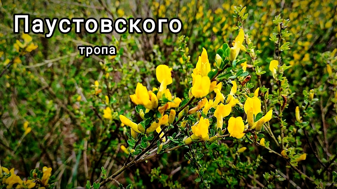 Тропа Паустовского. Часть 5