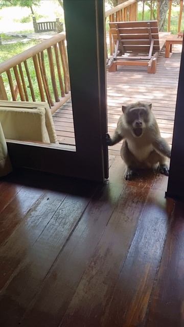 Здравствуй Люба, я вернулся