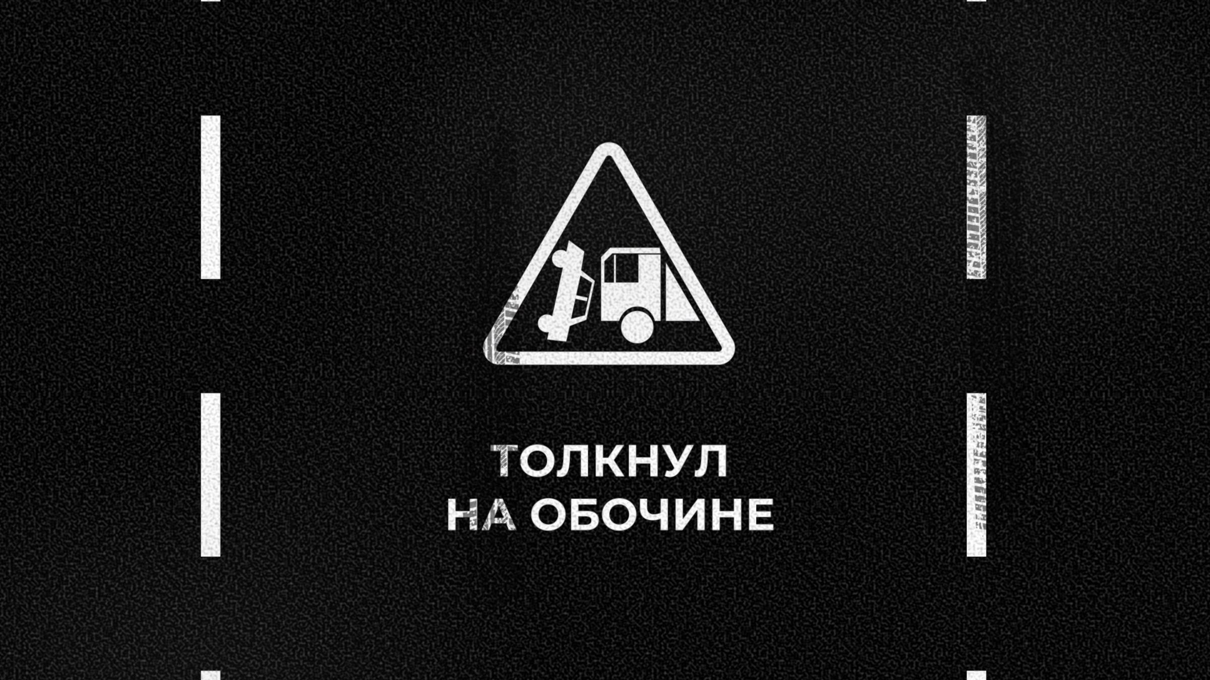 Умник на дороге. Толкнул на обочине