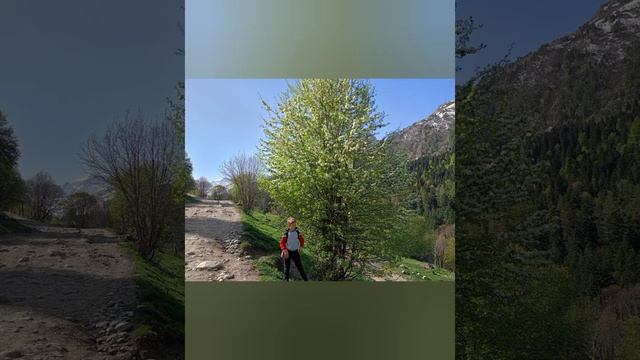 Кавказ 2024 Архыз Софийские водопады Кисловрдск Железноводск