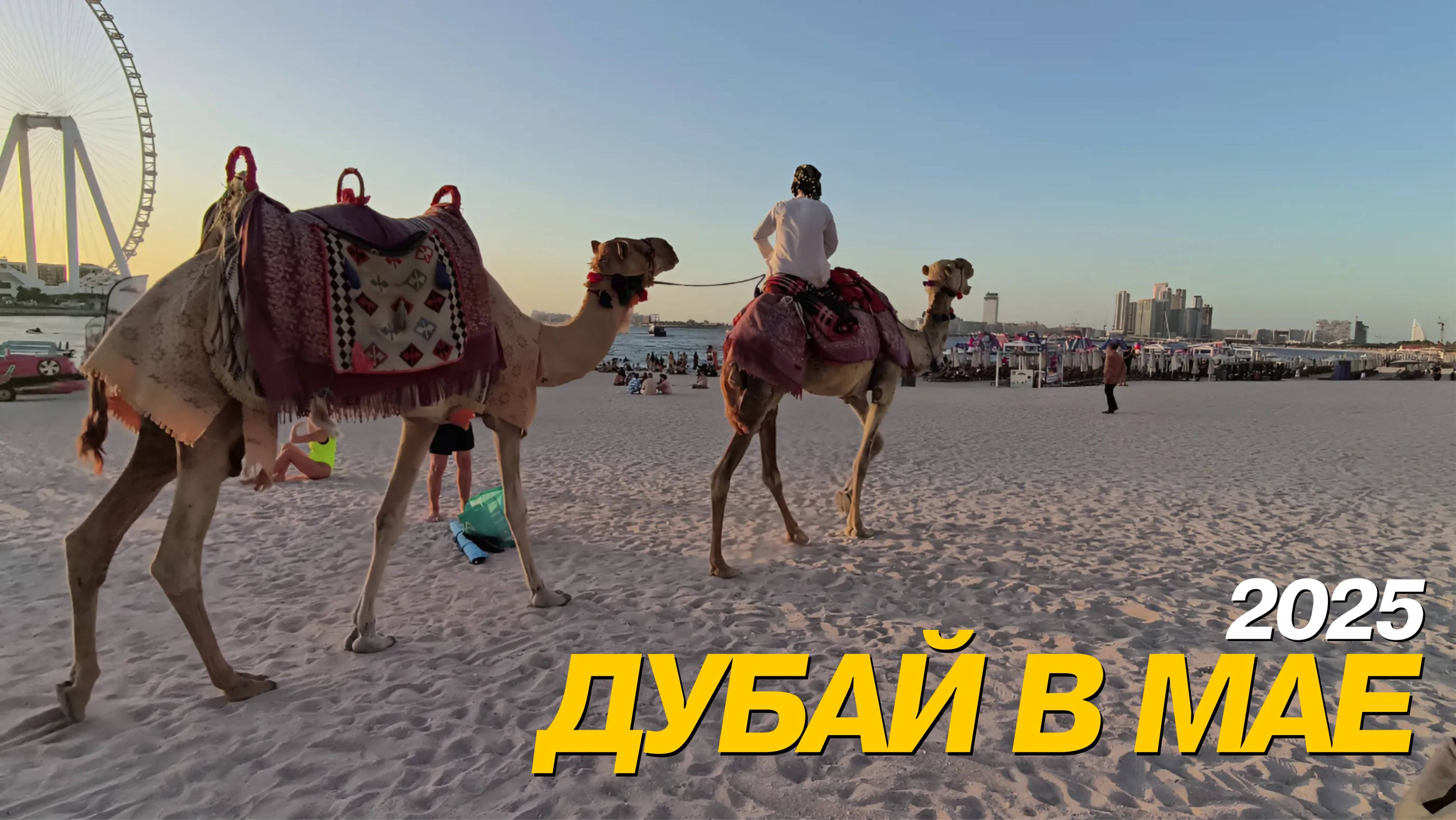 Дубай в мае 2025! Аэропорт Аль-Мактум, обзор отеля Jannah Place, пляж JBR, поездка в золотом вагоне.