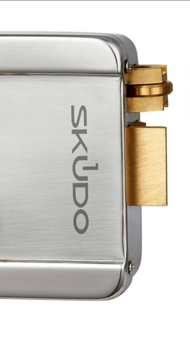 SKUDO накладной универсальный замок SK-EMU-N20-NK