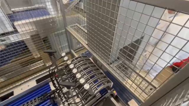 Производство филе трески порционными кубиками по 100 грамм