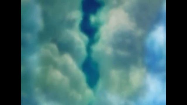 Шаповалов Егор "Девушка-вино"