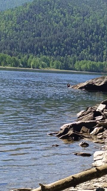 Тортуга в Саяногорске Парк отдыха