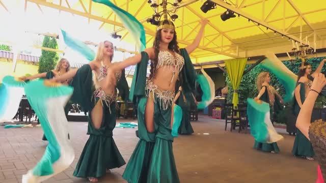 Дивы восточные - шоу-балет @ART_SHOW_DANCE