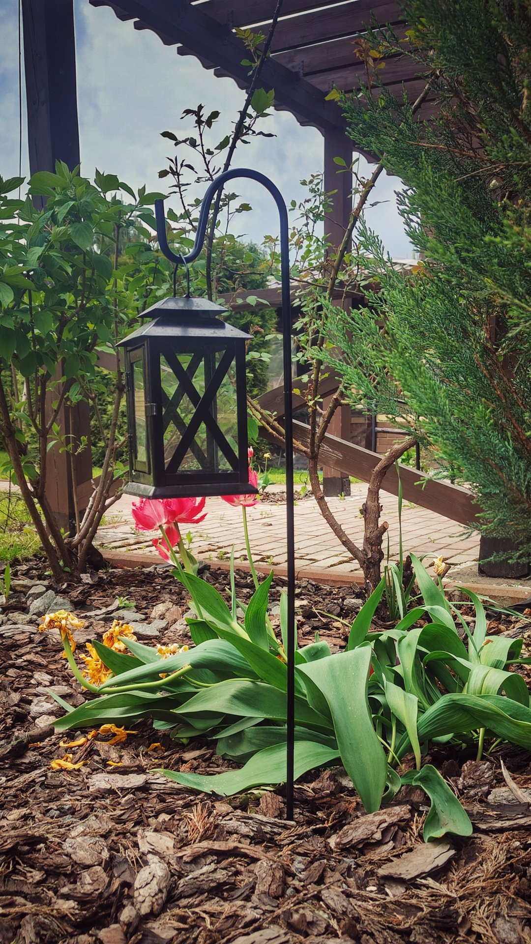 Эстетичные покупки 💚..