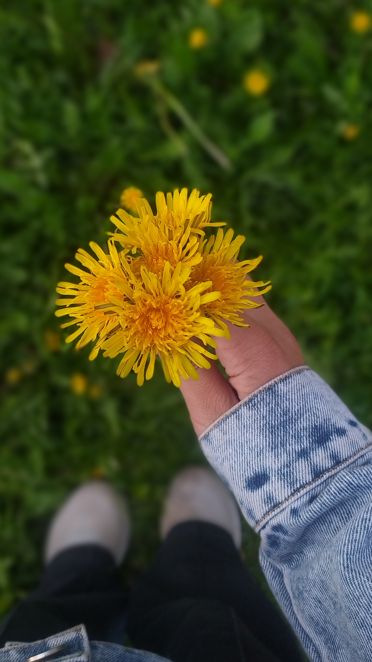 ★🍪Пе4енька★🍪