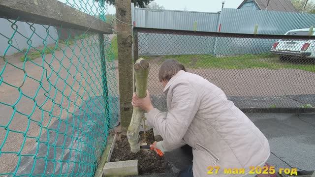 7 соток. Сажаю и отвечаю на вопросы подписчиков. Хроника 27 мая 2025 год