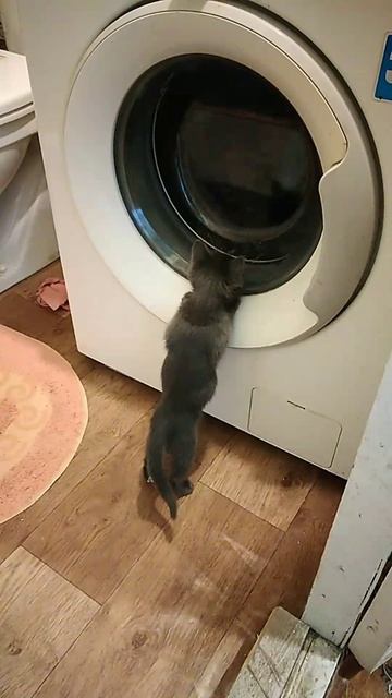 Не знаю, как остановить!!!