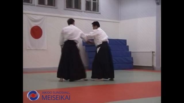 3 Aikido Ai Hanmi Ikkyo Ura Shishiya Sensei Sandviken 2002