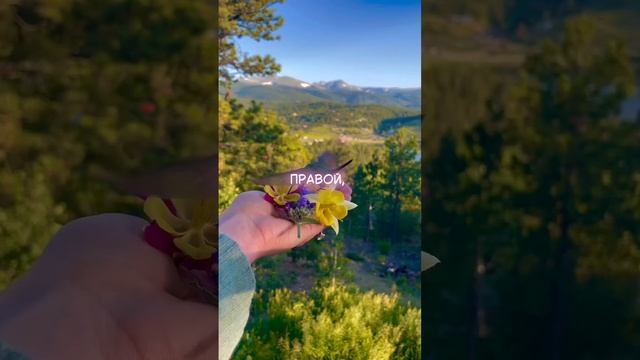 Как разбудить спящего ?