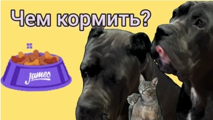 СУШКА ИЛИ НАТУРАЛКА! ? ОБЗОР КОРМА ДЛЯ КРУПНЫХ ПОРОД СОБАК.КАНЕ-КОРСО.