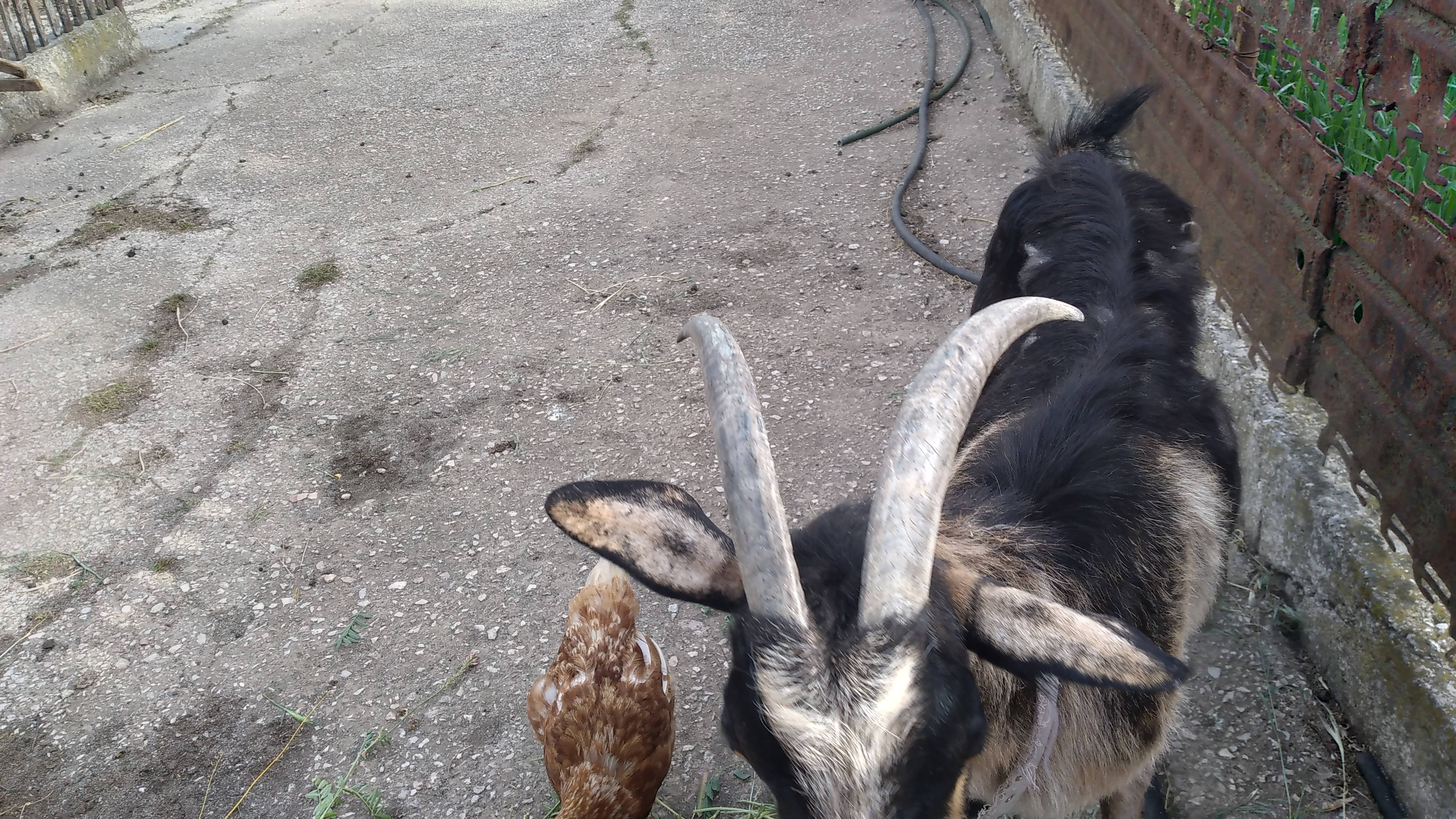 Это мне нравиться