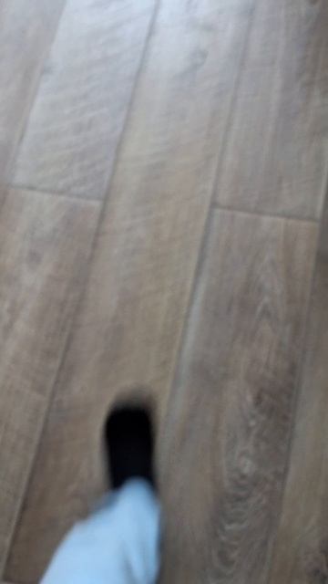 Фильм про медведя. Полное видео уже скоро на канале!