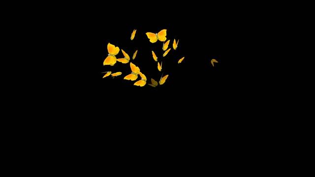 ФУТАЖ ЖЕЛТЫЕ БАБОЧКИ  ДЛЯ МОНТАЖА ВИДЕО