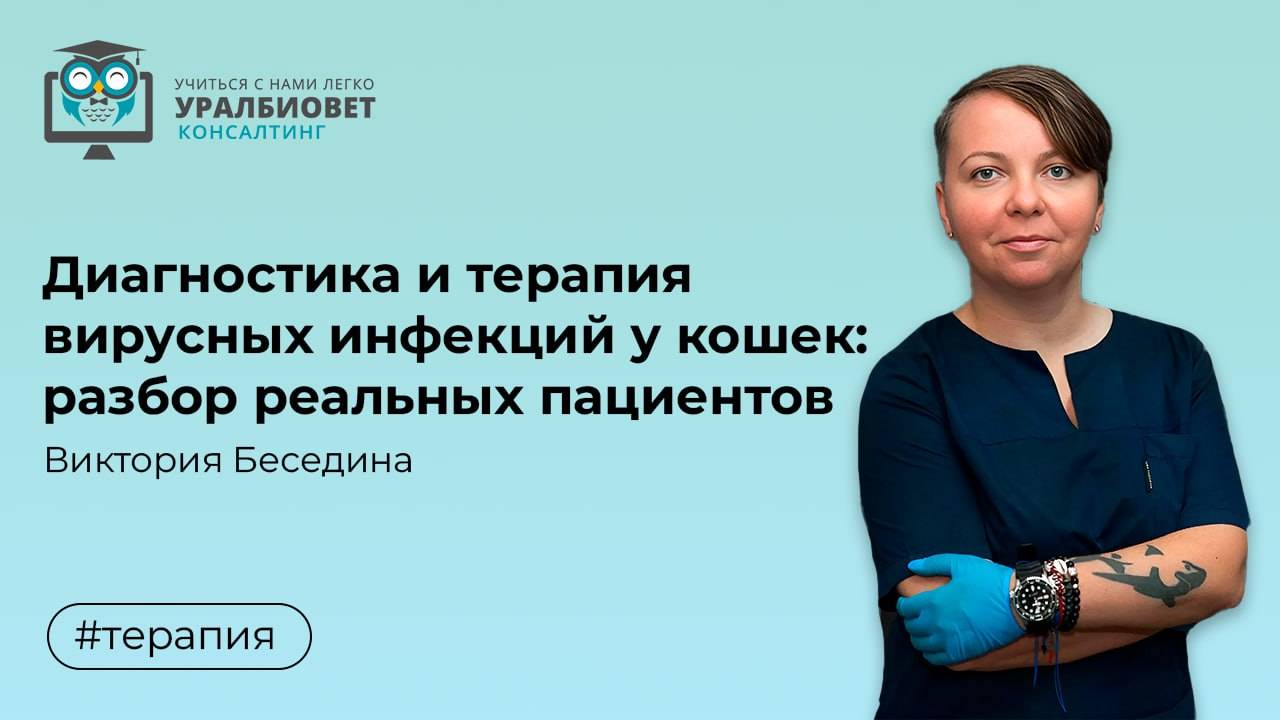 Диагностика и терапия вирусных инфекций у кошек: разбор реальных пациентов. Виктория Беседина