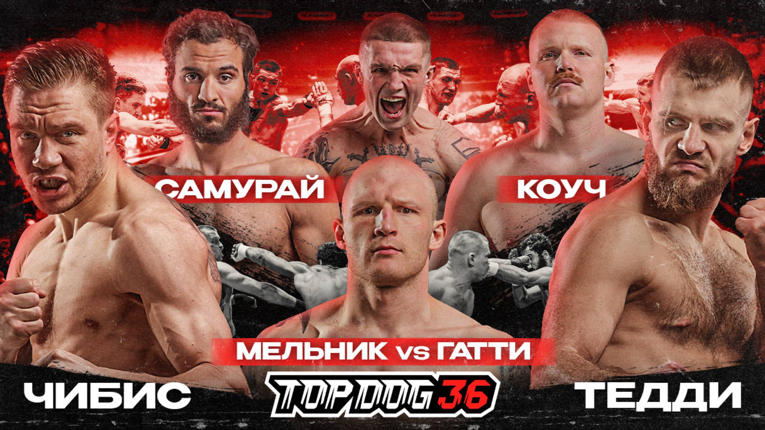 Чибис VS Тедди, Самурай VS Коуч, Мельник VS Гатти | TOP DOG 36, Санкт-Петербург