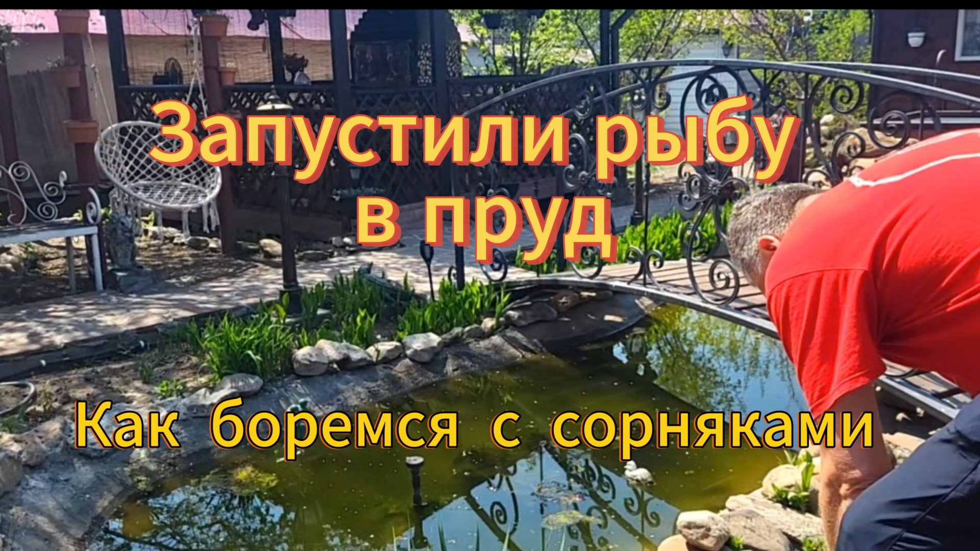 Пробежались по делам. Запустили рыбу в пруд. Рассказываю как боремся с сорняками.