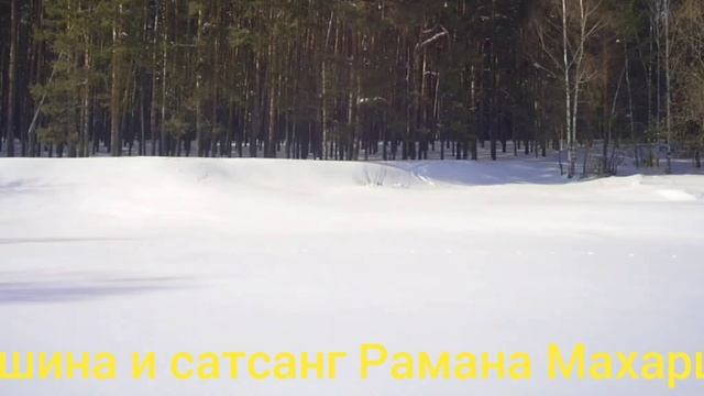 Тишина и сатсанг Рамана Махарши