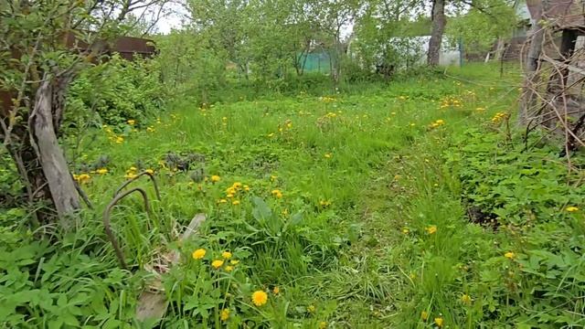 27-05-2025 Выходные на даче. // Рассаду посадили.