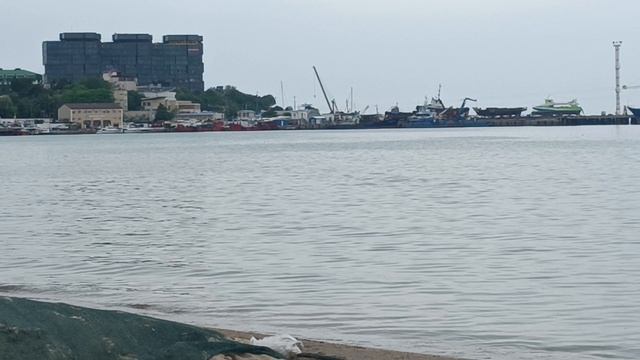 Птичка продолжает рыбку ловить