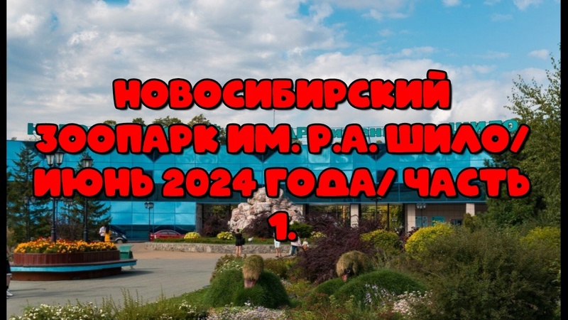 Новосибирский зоопарк имени Р.А. Шило. Июнь 2024 года. Часть 1.