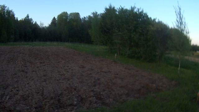 Деревня. 25 мая 2025 год. Чуточку о саде . Летний душ строительство продолжается.