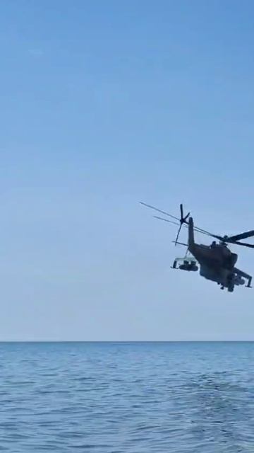 Женщины снимали дельфинчиков на Южном берегу Крыма... но тут появился Крокодил и навёл шорох.