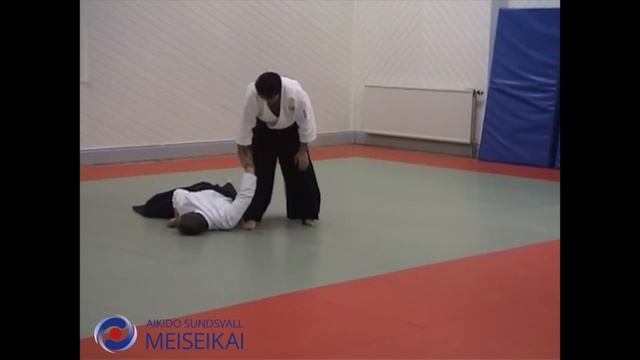 17 Aikido Ai Hanmi Sankyo Shishiya Sensei Sandviken 2002