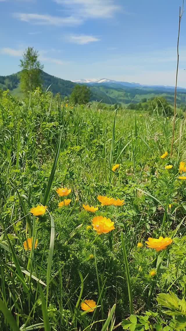 Майские огоньки