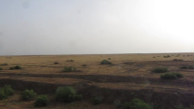 Средняя Азия. Участок Арысь - Туркестан. Утро 18 мая 2025.