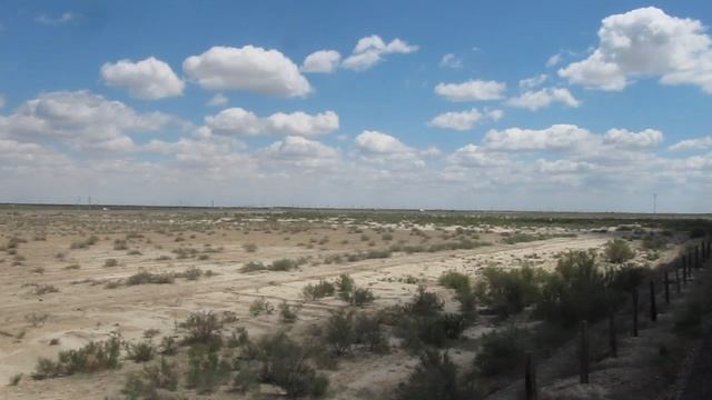 Полупустыня южного Казахстана, южнее Кызылорды.