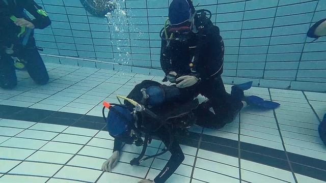 🧼 Гости нашего клуба 24 - 25  мая 2025