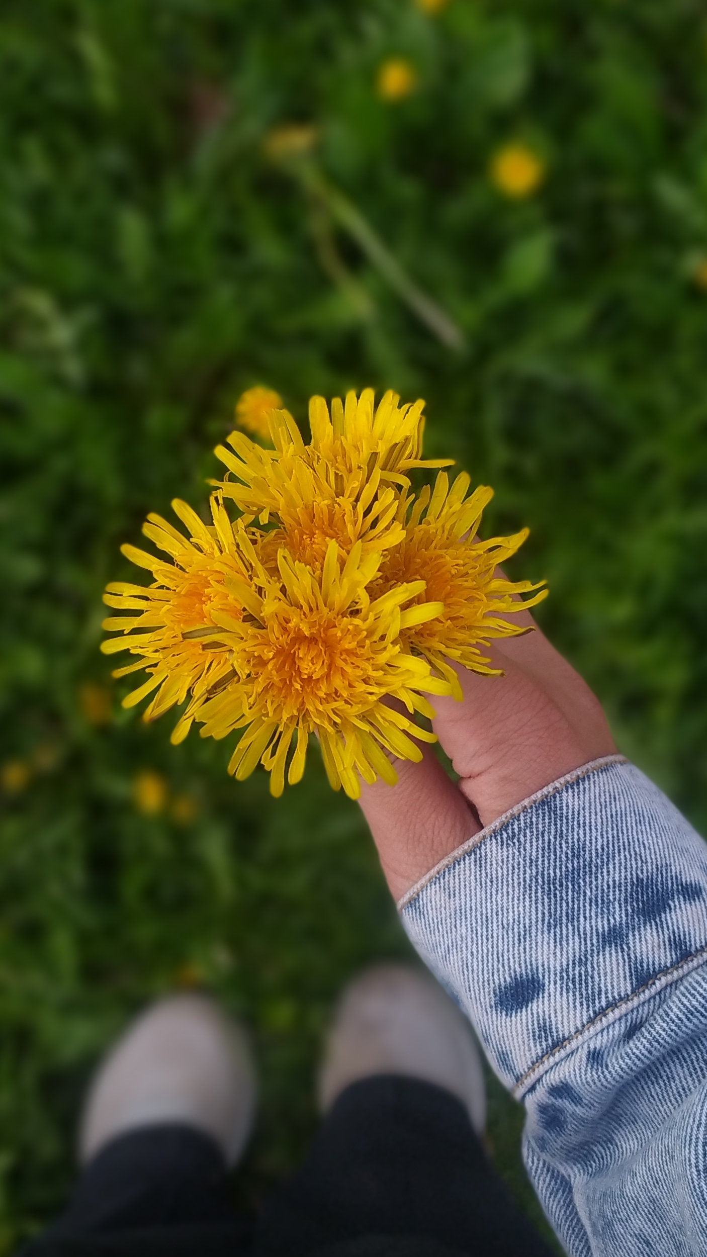 🍪★Пе4еньКа★🍪