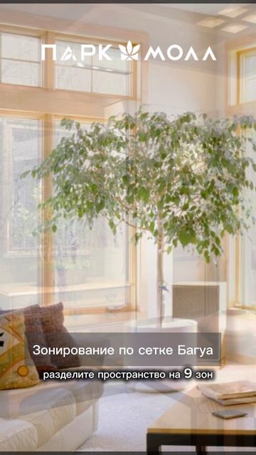 Фэн-шуй в дизайне интерьера: гармония и уют в вашем доме