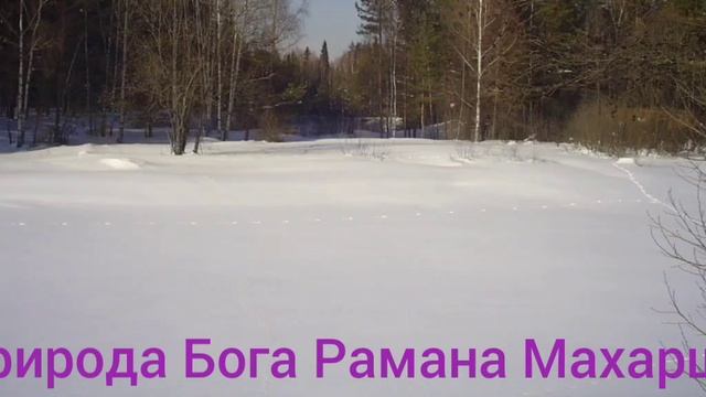 Природа Бога Рамана Махарши