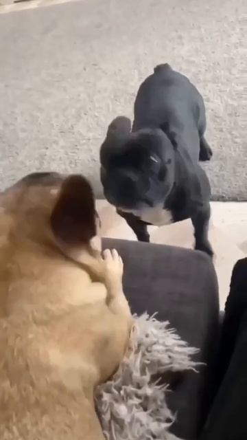 Вот и поговорили